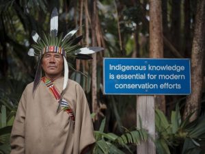 the ethics of conservation: balancing human needs and environmental ...